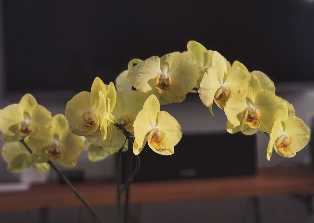 Gallery for Learn Enough JavaScript to Be Dangerous | Test Page